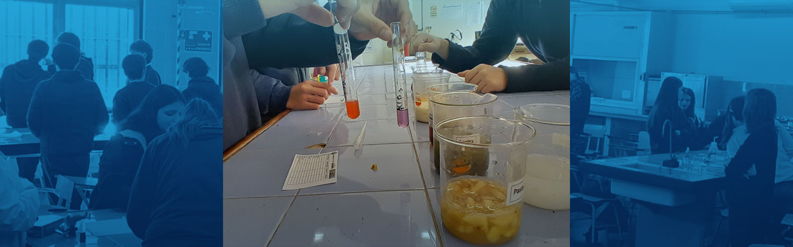 Campus virtual - UTN Facultad Regional Santa Fe